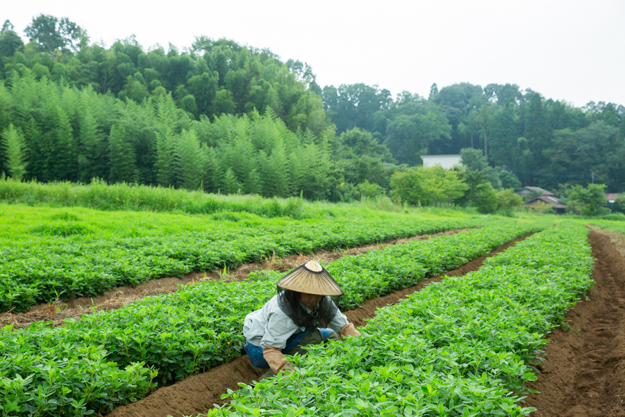 手作りピーナッツバターの専門店 YACHIMATA YOSHIKURA｜スポット・体験｜千葉県公式観光サイト ちば観光ナビ